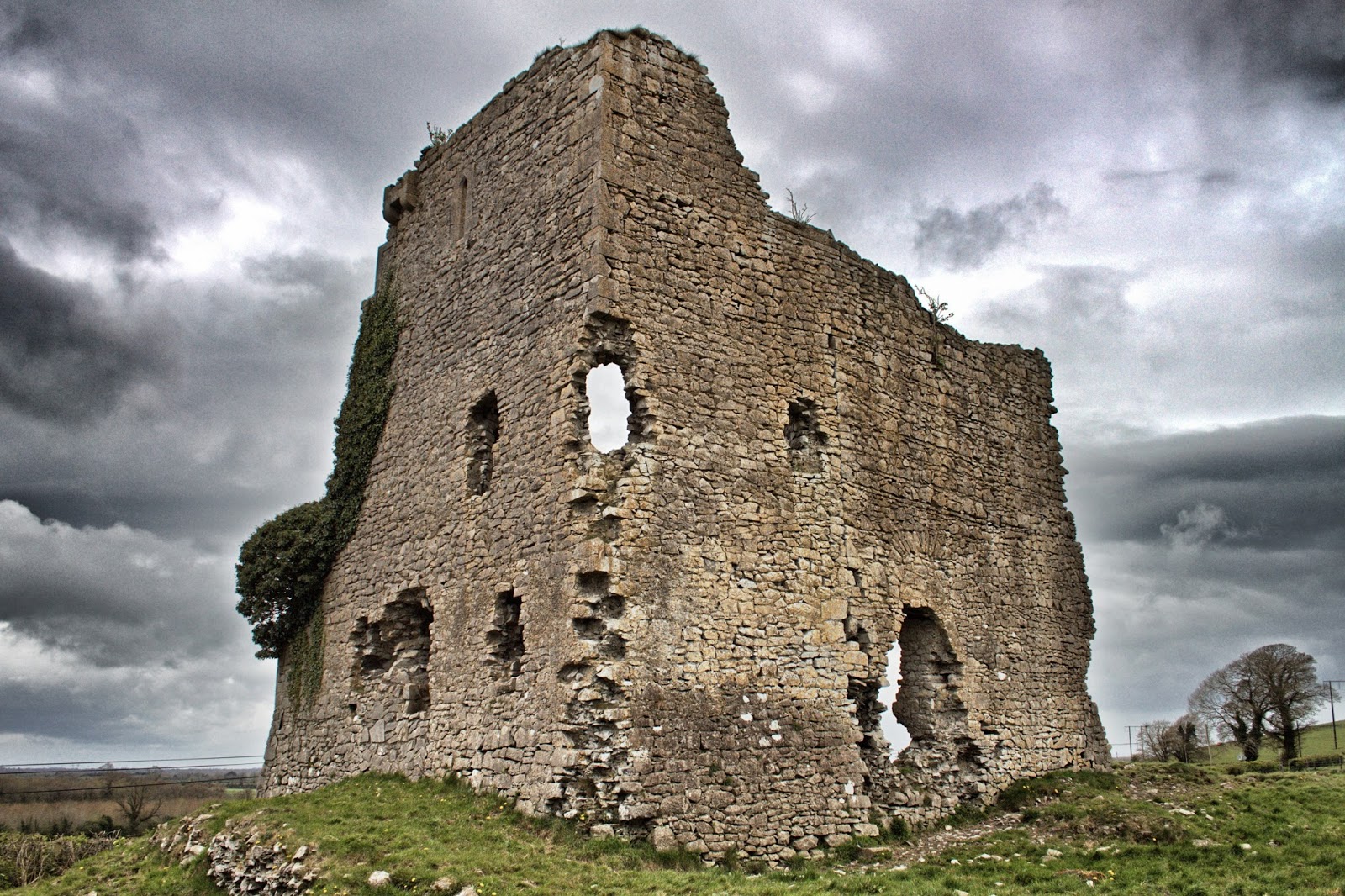 Historic Sites of Ireland: Carrick Castle