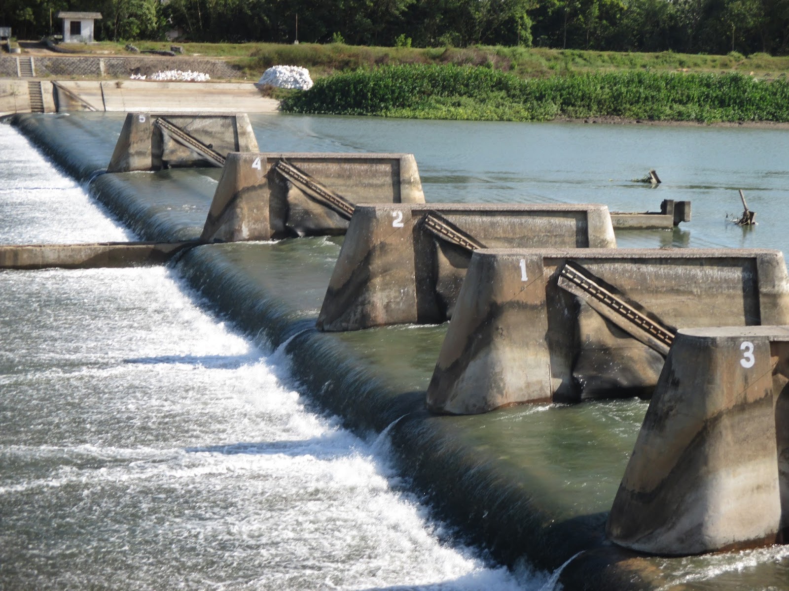 BENDUNG ( DAM ) KARET MENTURUS - blogque
