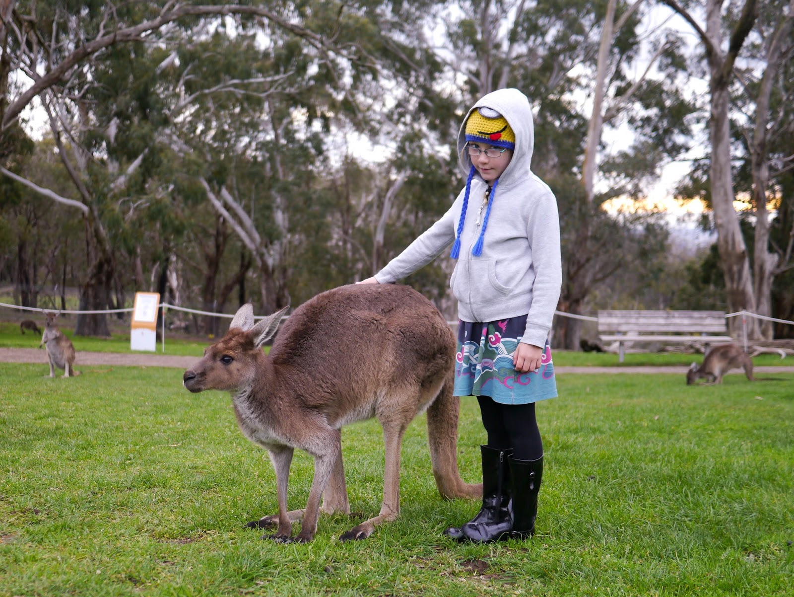 Little Hiccups: Cleland Wildlife Park