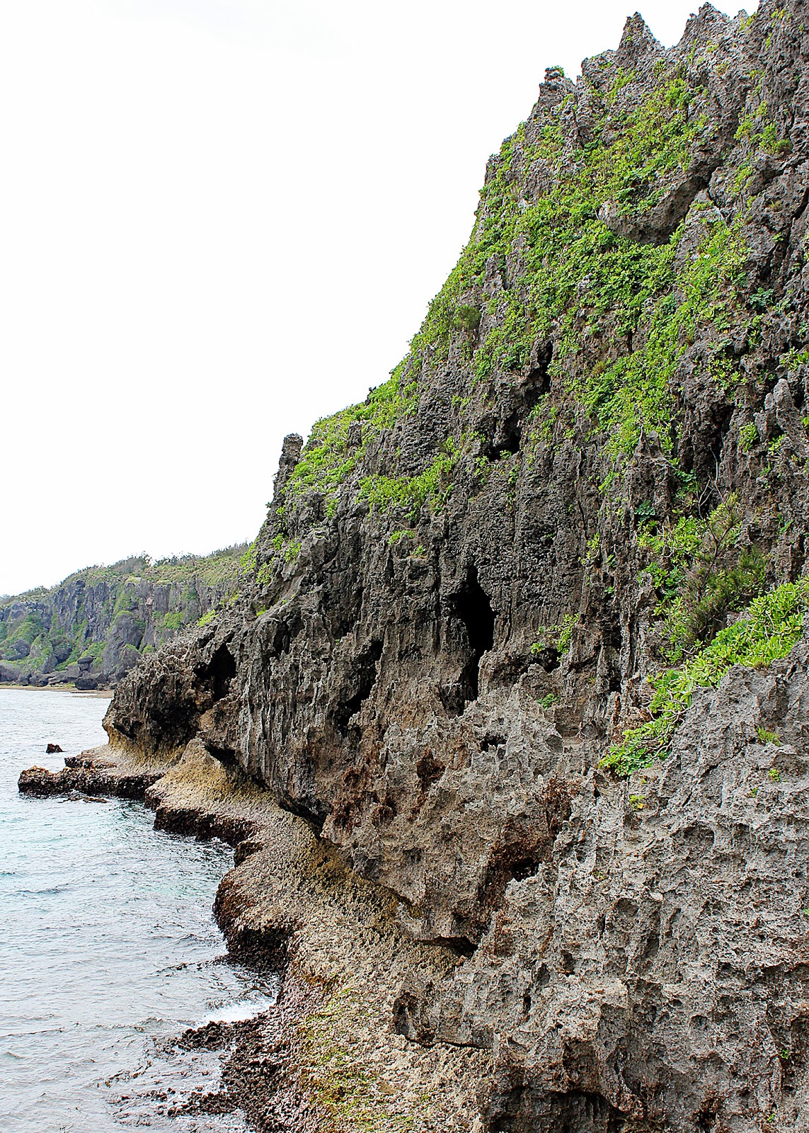 Enjoying Life With 4 Kids: Checking out Maeda Point