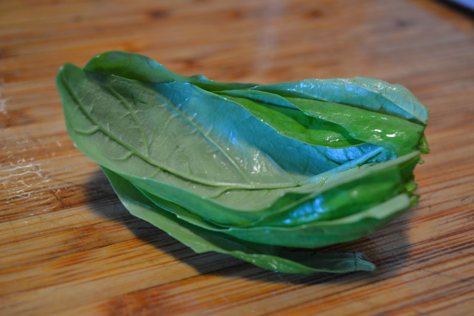 Italian Bruschetta Recipe