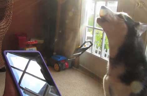 August 2011 | Science Decoder