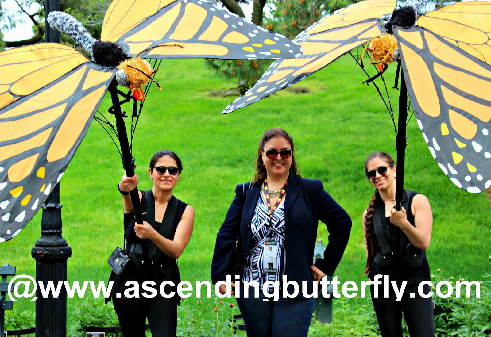 Ascending Butterfly: {#WordlessWednesday} Giant Monarch Butterflies at ...