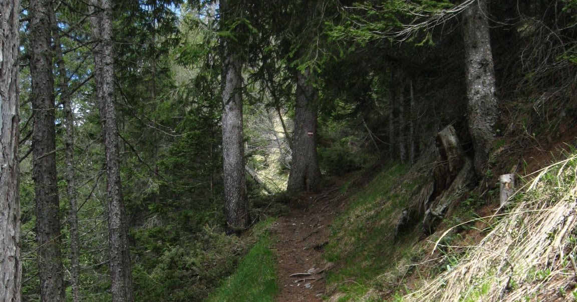 World War I Bridges - WW1 Centenary from the river Piave: The Photo ...