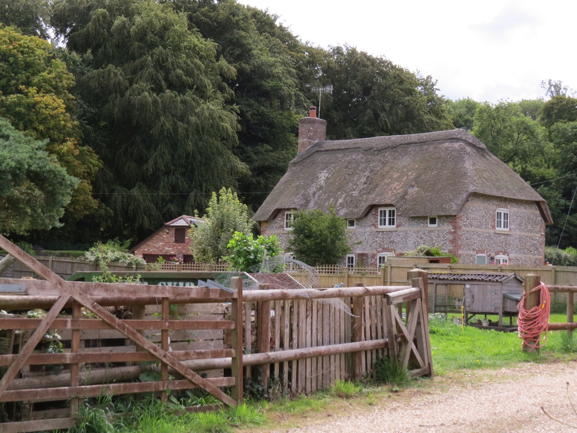 Walking Dorset's gridsquares: Frome Valley Trail - Part 2 - Maiden ...