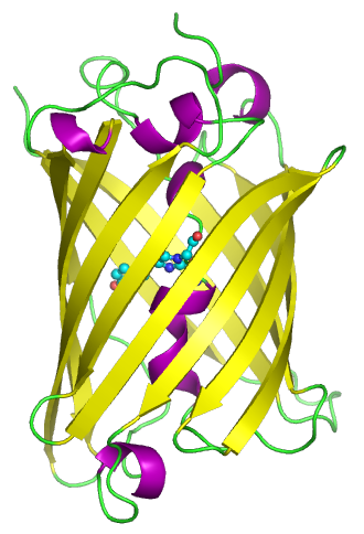 The Cabbages of Doom: Great Fluorescent Proteins