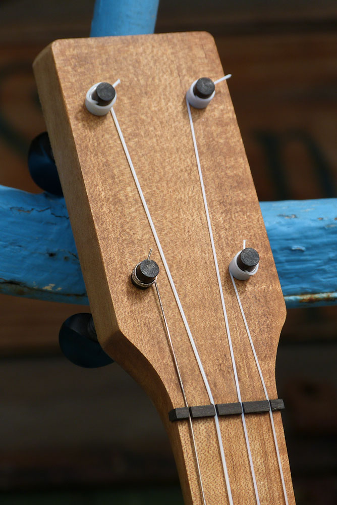 2000s Eric Prust 5-String Fretless Minstrel Banjo