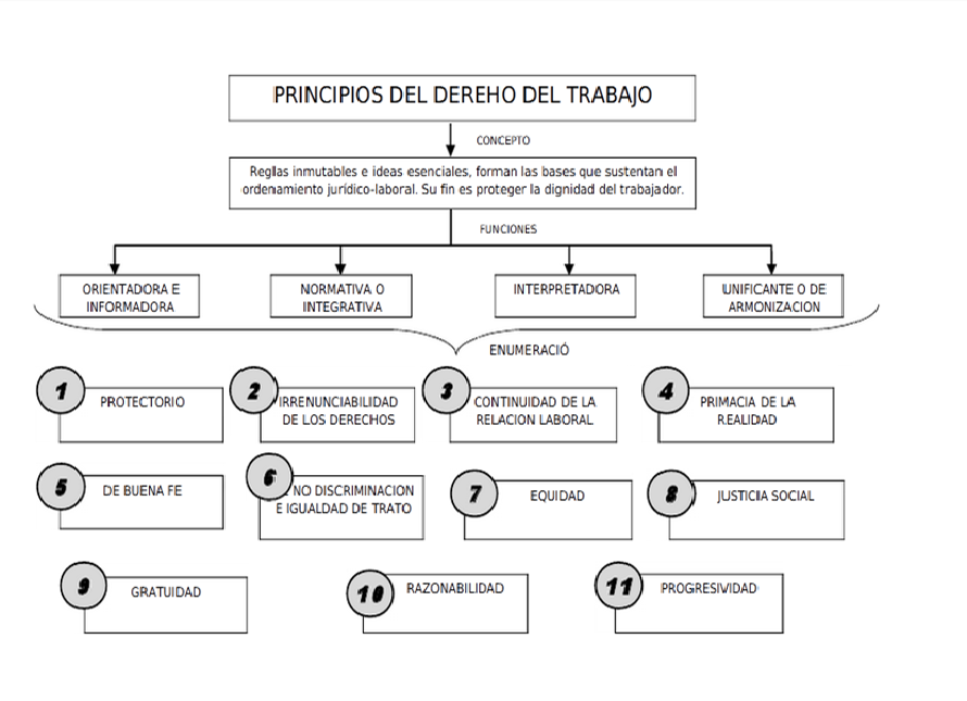Principios Derecho Laboral Mapa Mental Images Principios Derecho Laboral Mapa Mental Images
