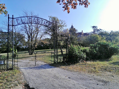 The Impulsive Texan: Texas (Cattle) Royalty