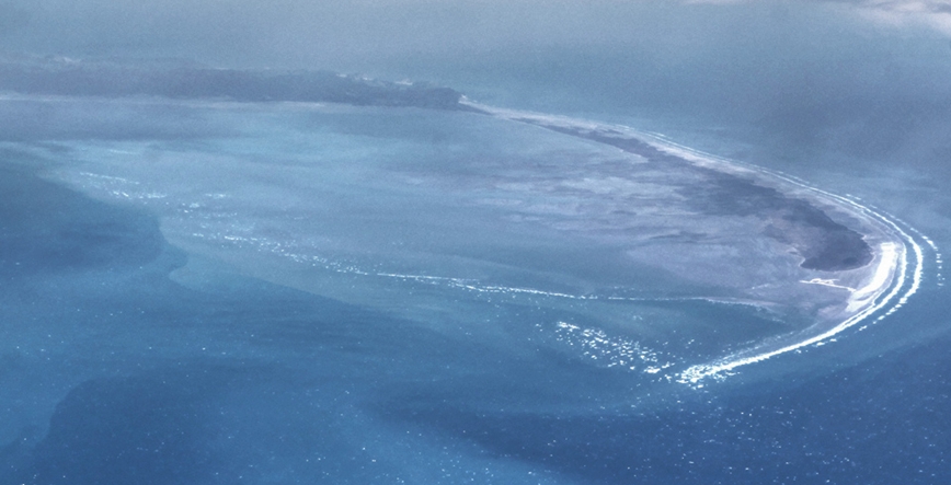 Yardy Yardy Yardy: Another Stranding in Golden Bay