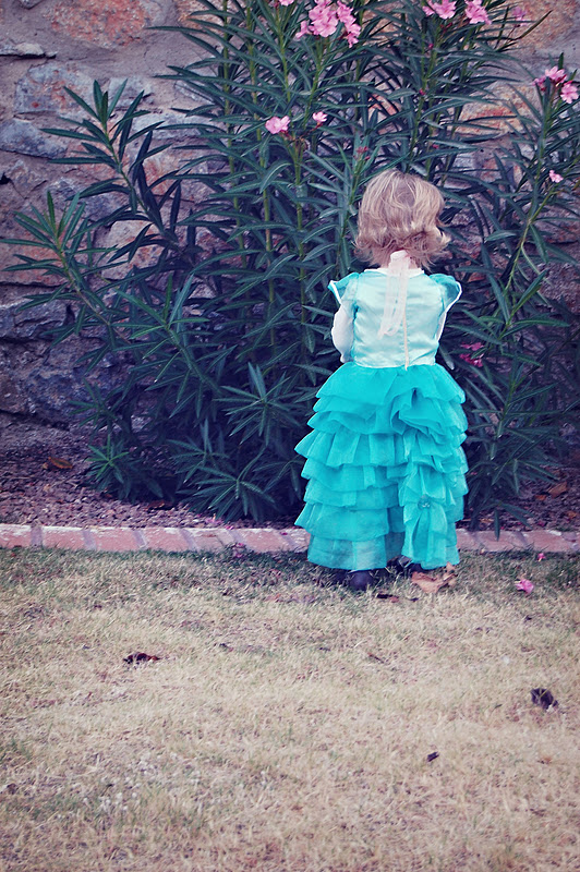 Babblings and More: My Little Princess