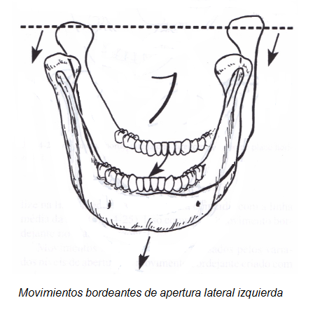 Oclusión en Odontología