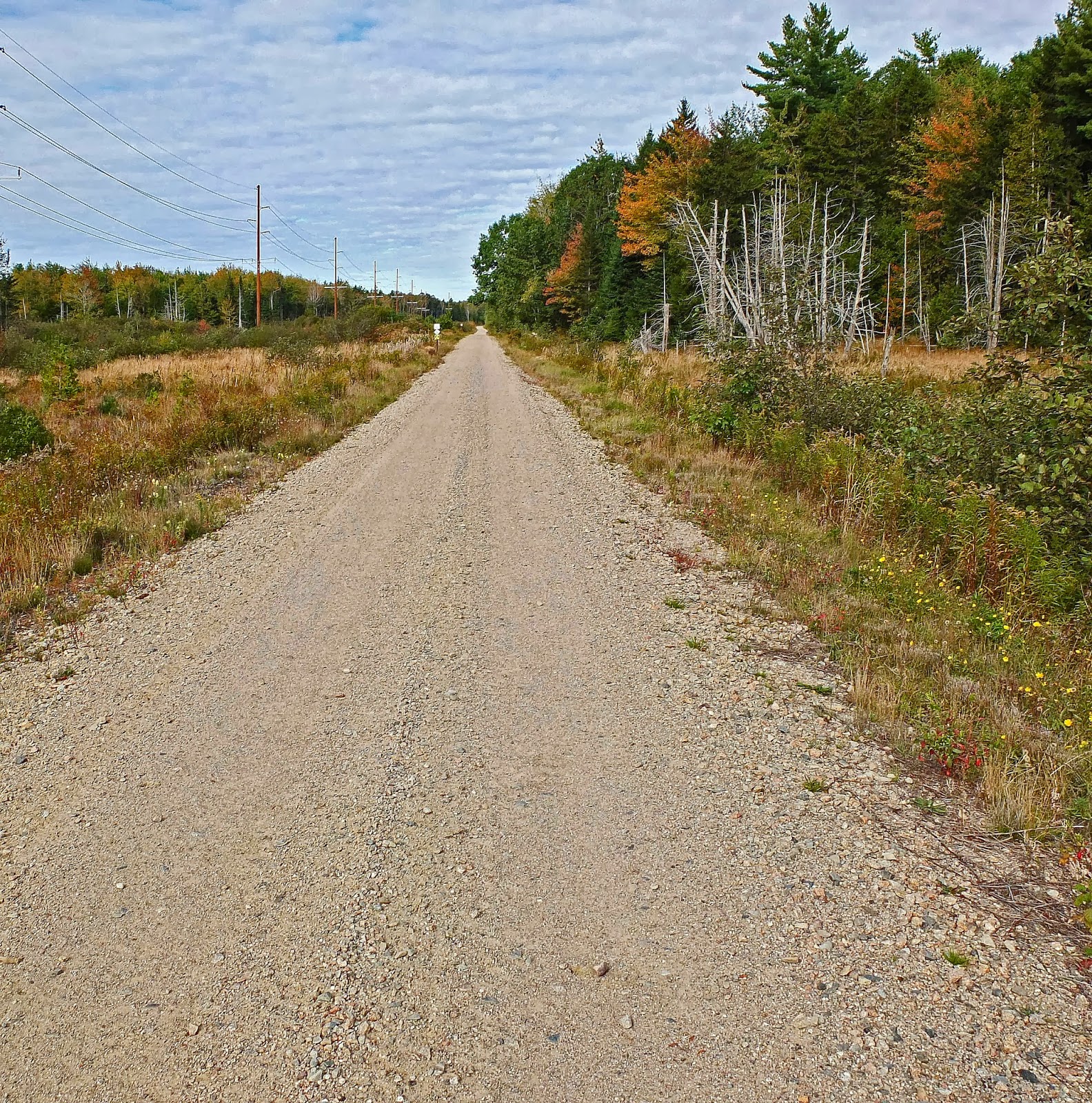 Hiking in Maine with Kelley: 9/27/13 Downeast Sunrise Trail part II