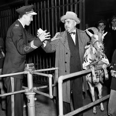 THE CURSE OF THE BILLY GOAT - Stunning Interesting Facts