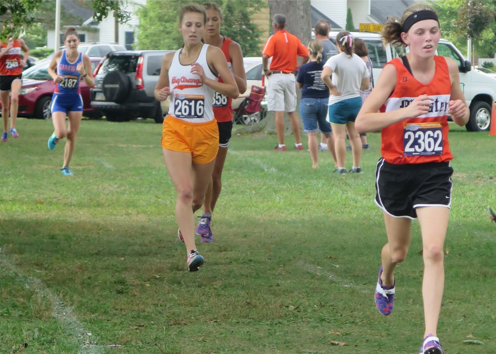 Fish Report: August 2017