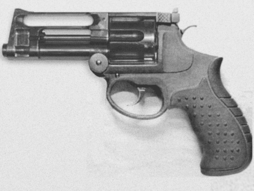 on target shooter nz: Russian Revolvers & Longarms In US: