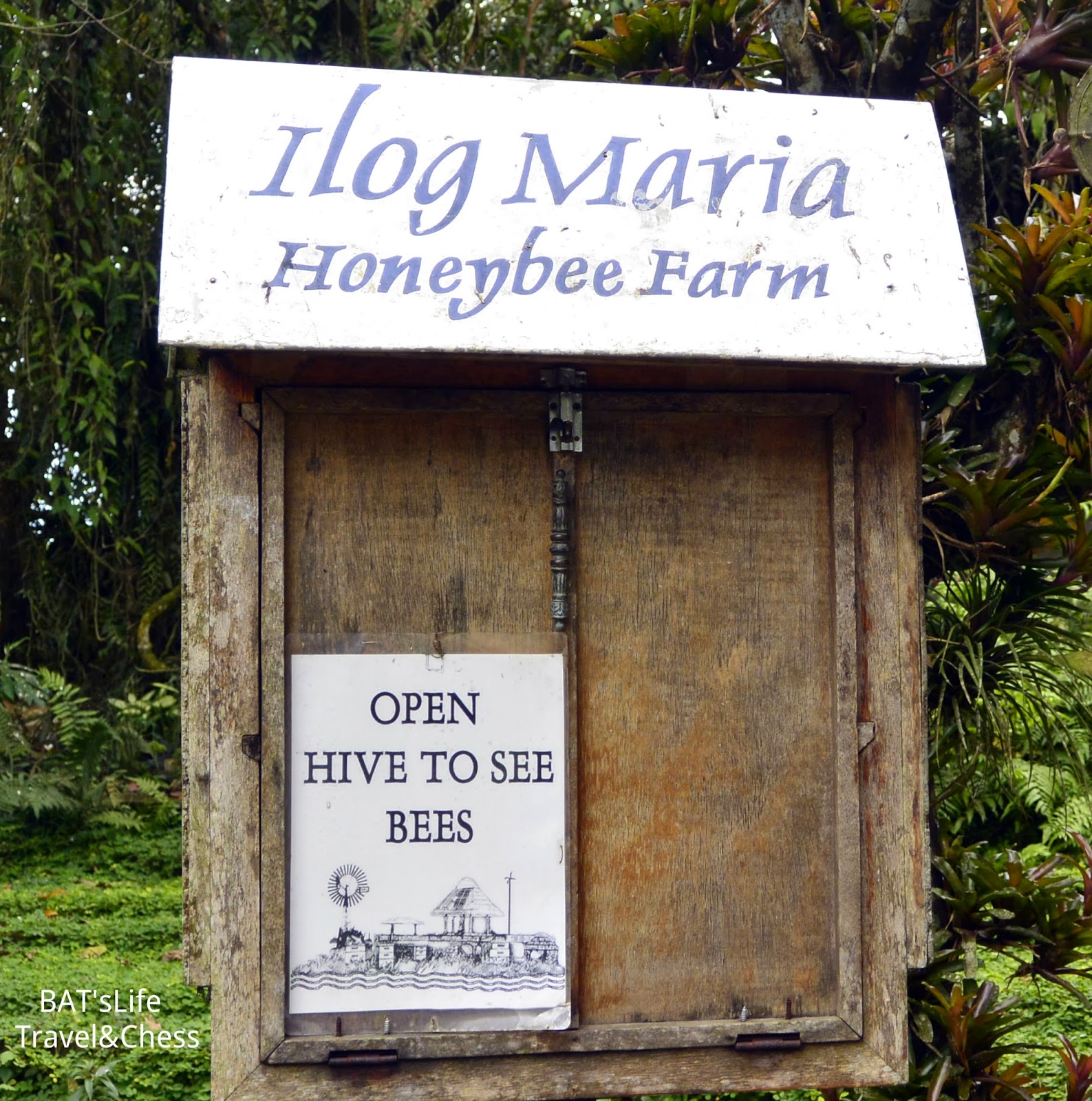 Ilog Maria Honeybee Farm (Silang, Cavite)