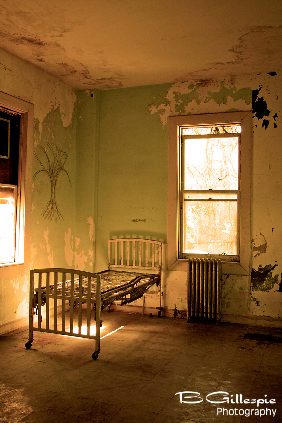 Through the Lens of My Camera: Preston Castle~Ione, CA