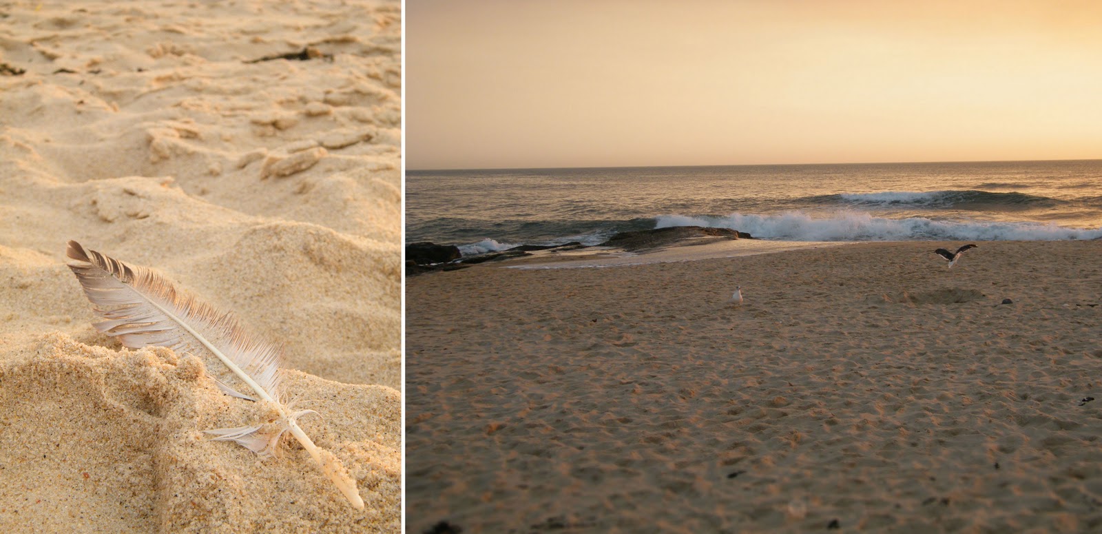 if... made with love: Photography editing tips :: diptychs with Pixlr