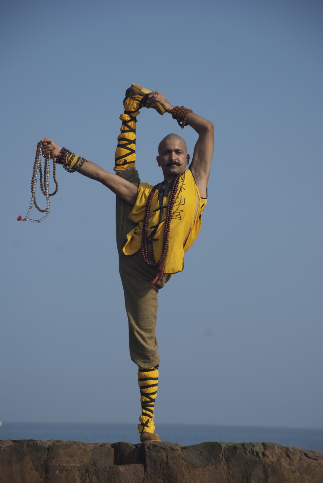 Shifuji Fusion Kungfu-Indian Yoga-Martial_Arts,Shifuji's Indian ...