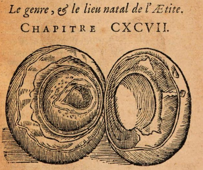 ALLA RICERCA DEL BEZOAR A PETRALIA