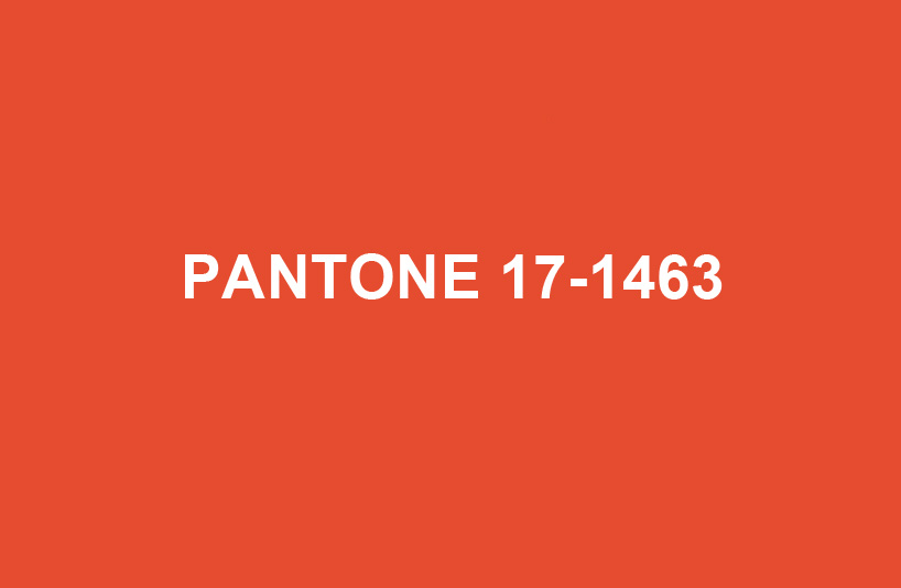Live Laugh Decorate: PANTONE 2012 Color of The Year: Pantone 17-1463 ...