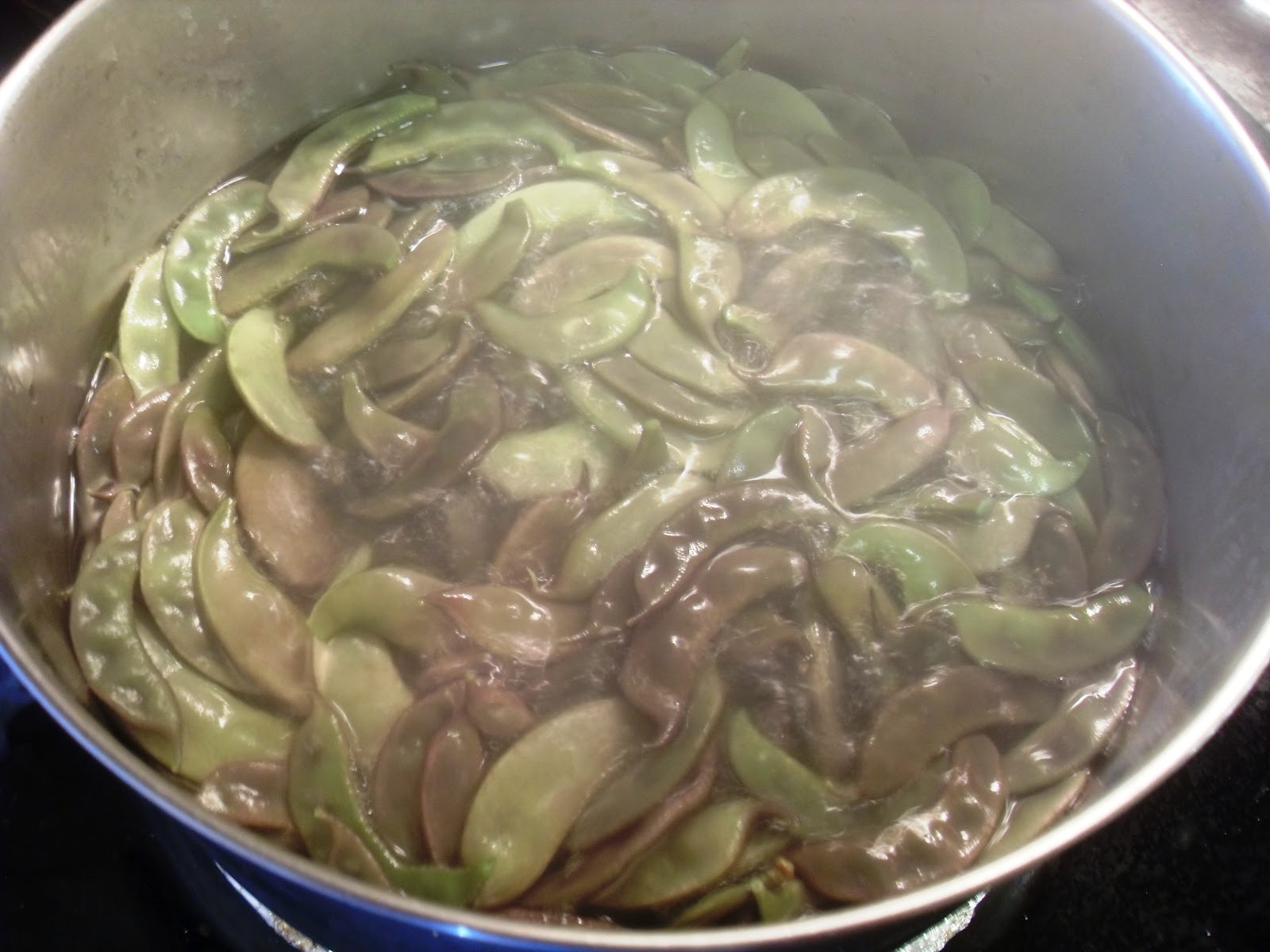 The Scientific Gardener: Cooking Purple Hyacinth Beans