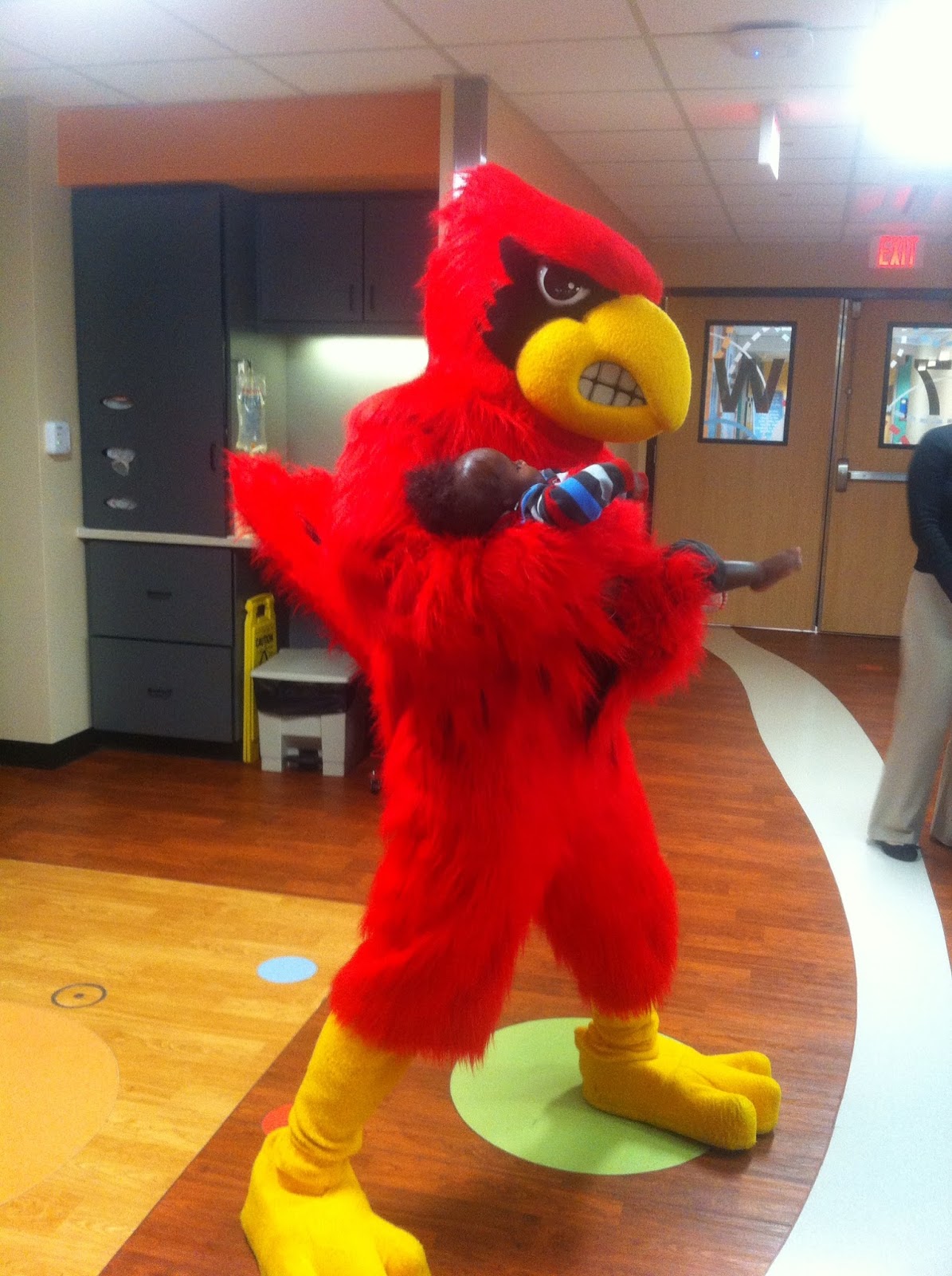 The Plural Of Hyena: Creepy Mascots, Vol. 1: College Mascots