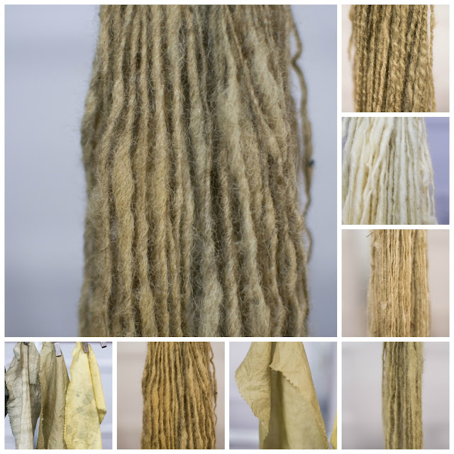 Snail Crafts: Fennel and Rosemary Dye Fun