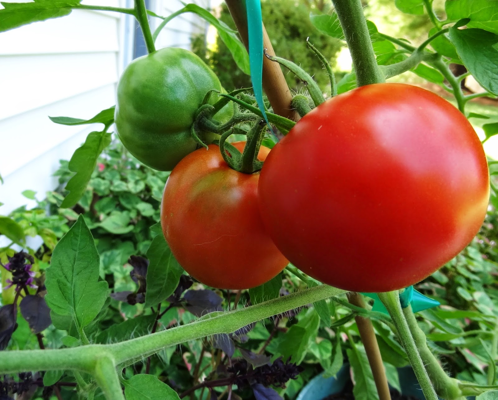 Live and Learn-Toss and Turn: A Second Look--August 27, 2014