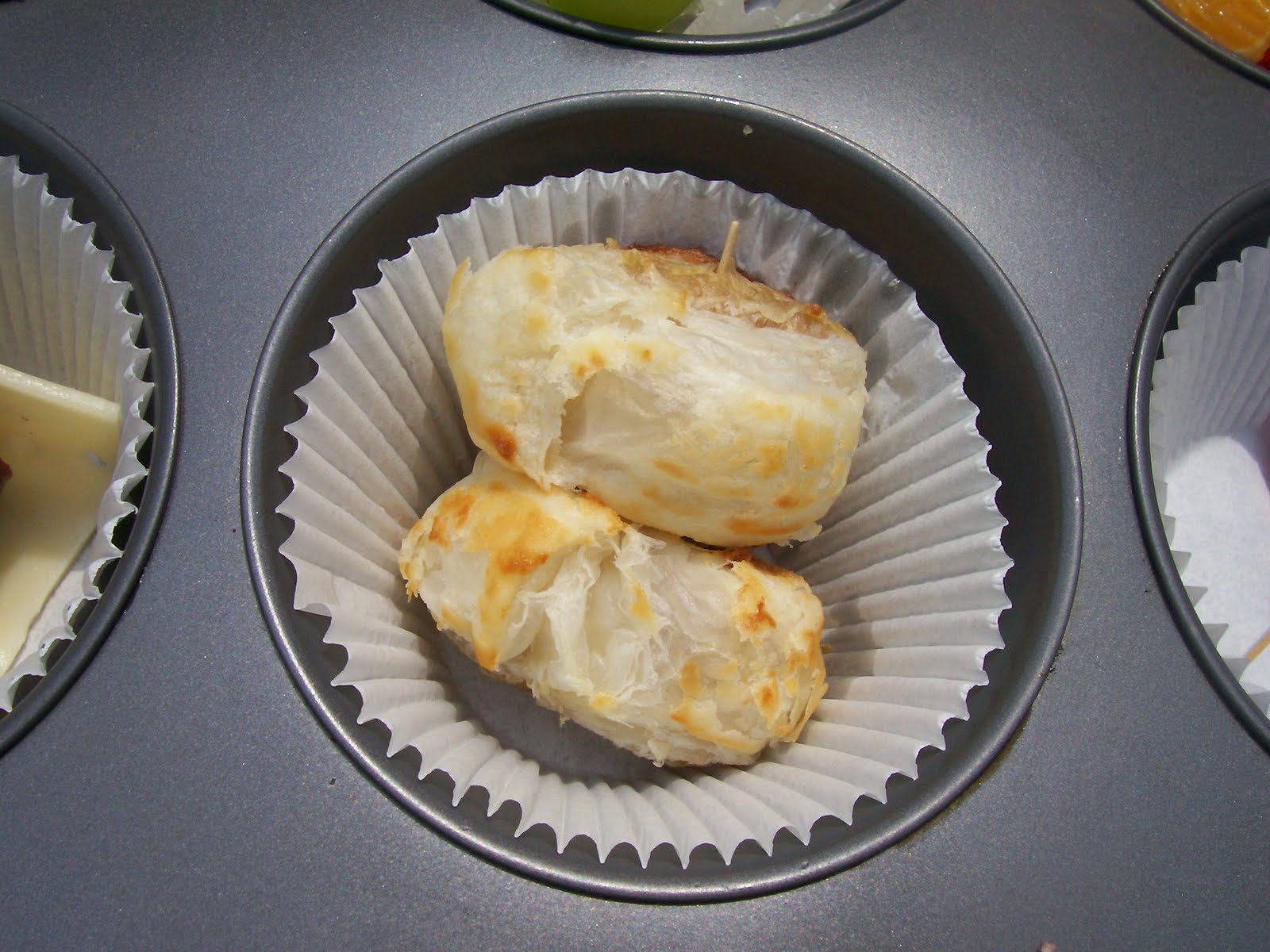 Pauley-Face Farm: Caterpillar Lapbook