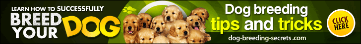 Tips for Dog Breeding