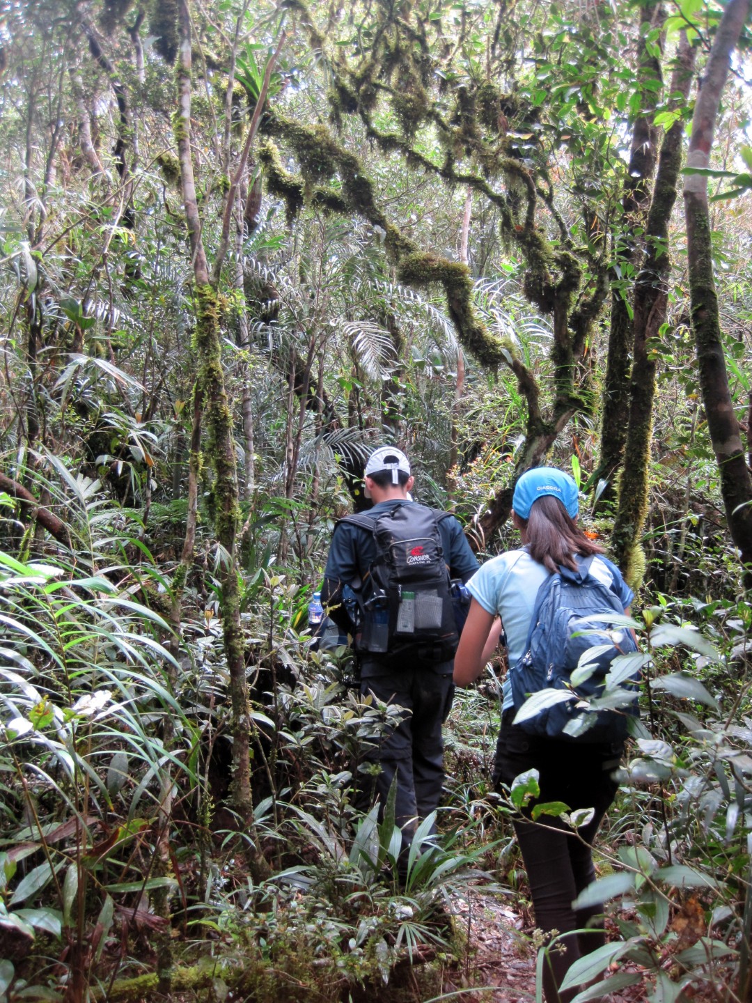 Nueva Vizcaya's Amazing Mt. Palali