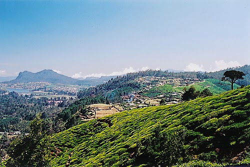 Safari Sri Lanka: Shanthipura - Nuwara Eliya Highest Village in Sri Lanka