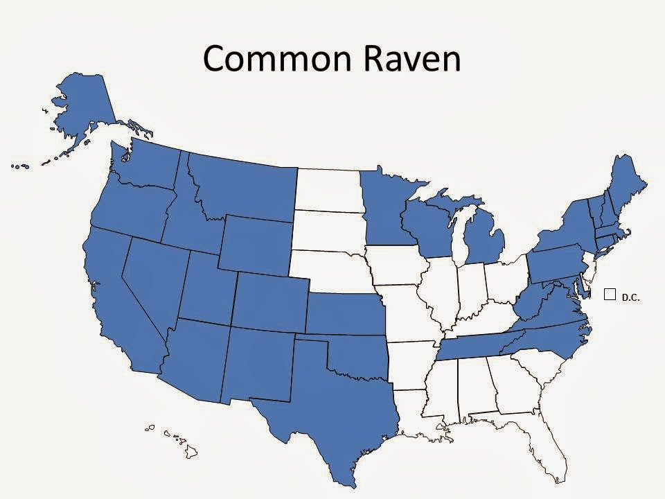 State Birding: Cimarron National Grasslands, Kansas, September 2013