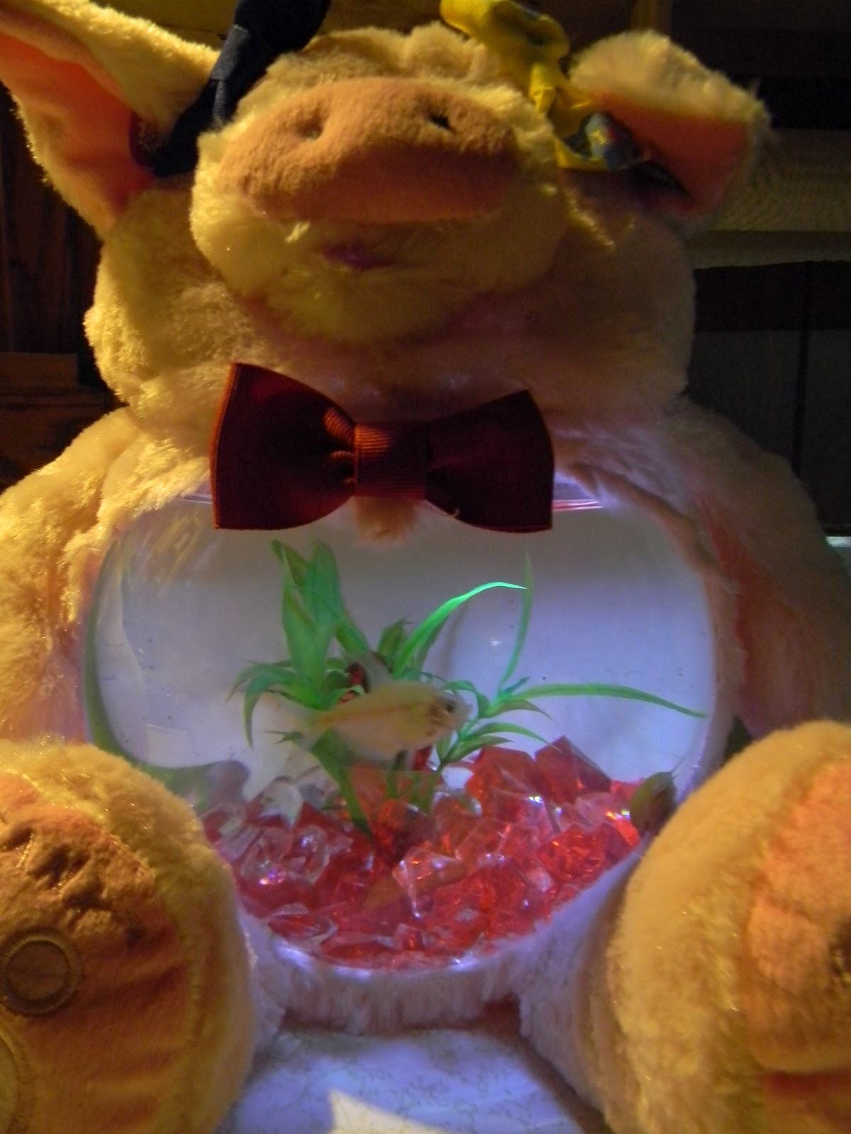 Miss Jackie's Views: Teddy Tank Review & Giveaway