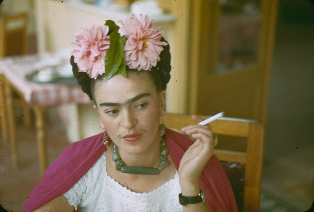 Evolution Revolution: VIVA FRIDA: Part 1