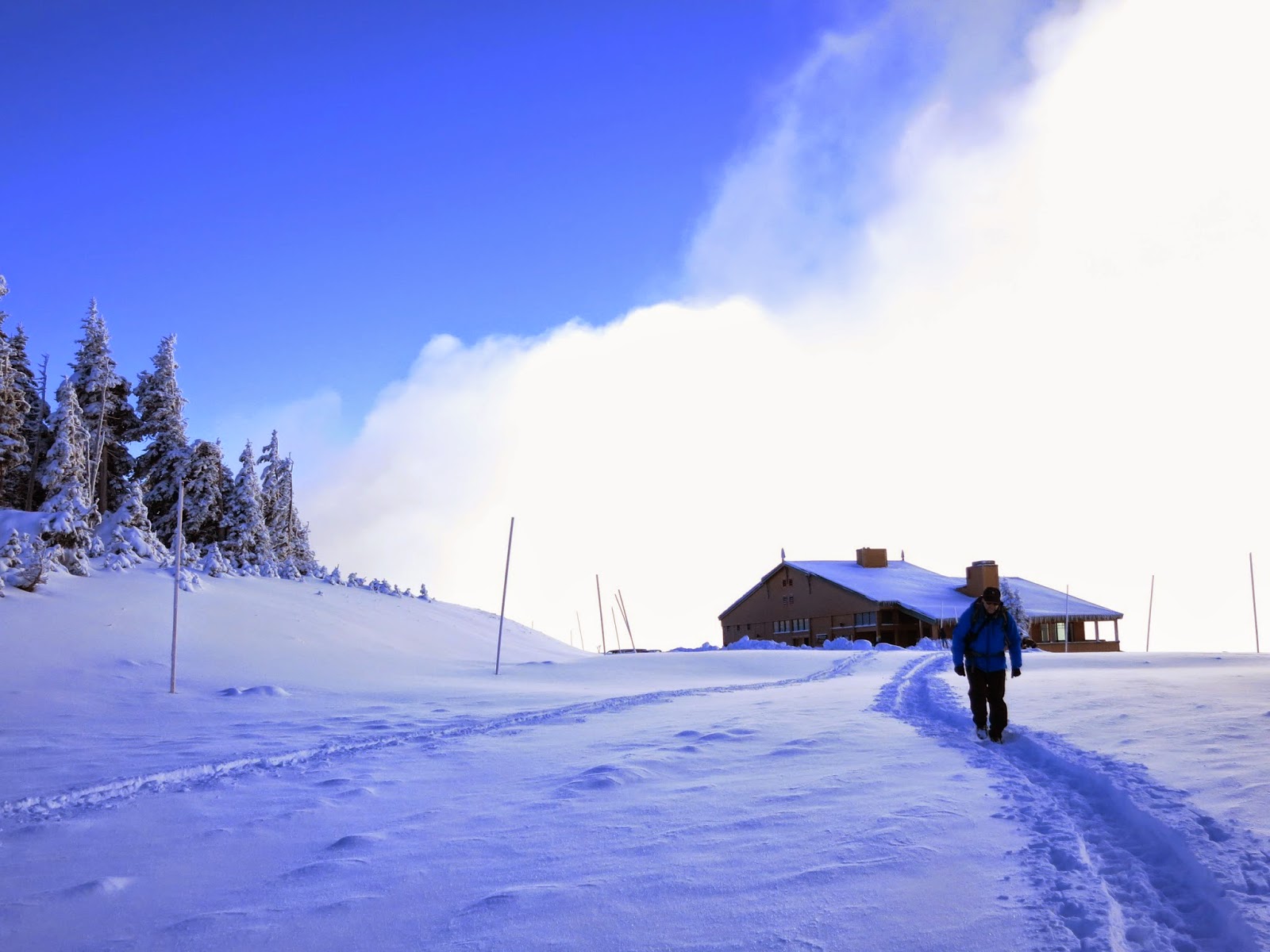 Pacific Northwest Seasons: Hurricane Ridge in the Winter