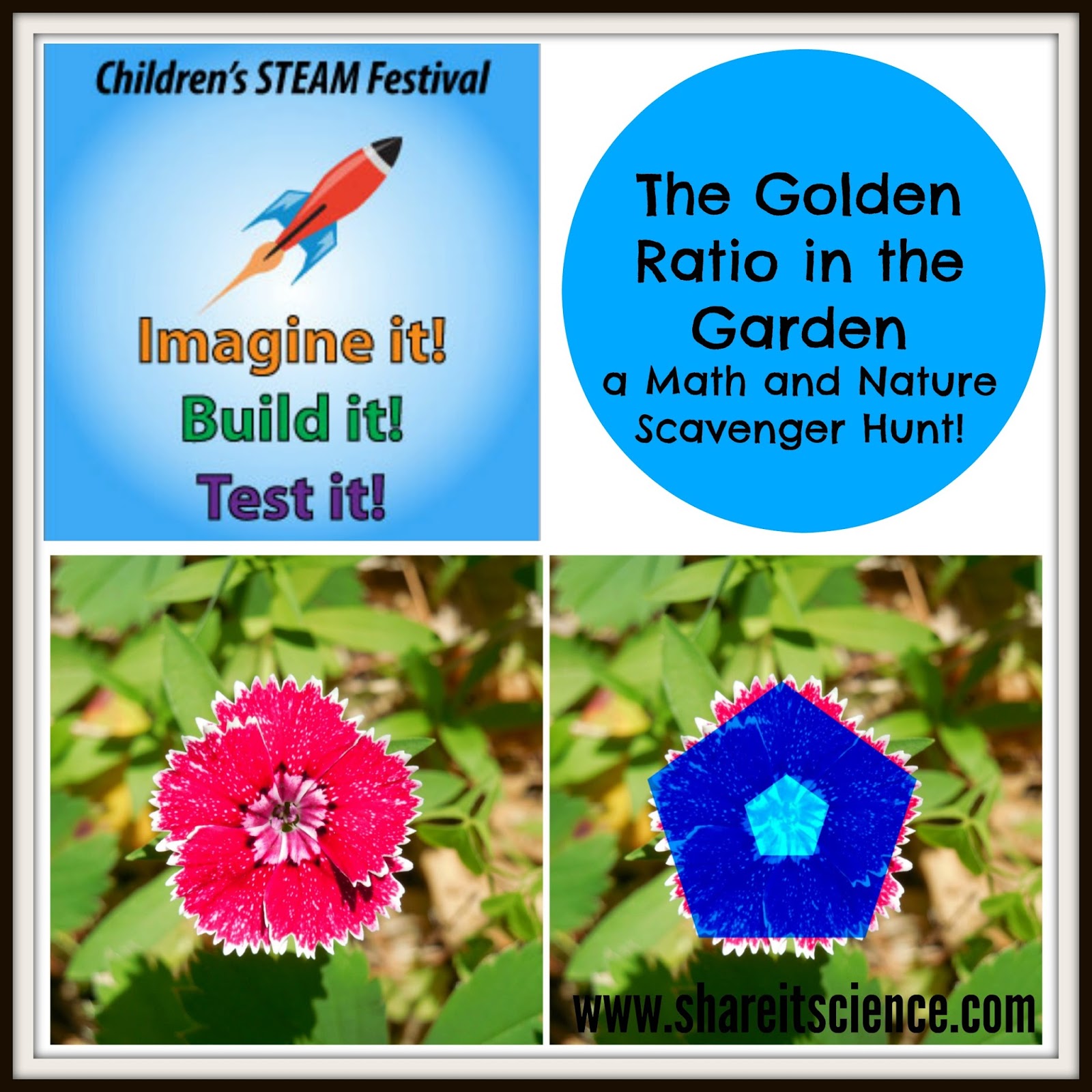 Share it! Science : Children's STEAM Festival: The Golden Ratio in the ...