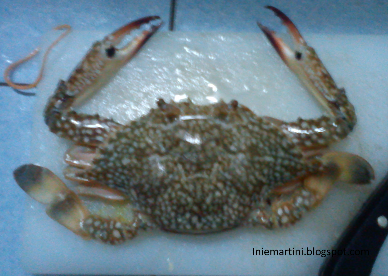 Senyum macam saya.!: Cara-cara siang ketam dengan mudah