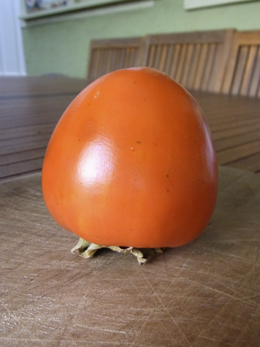 Garden amateur: Inconvenience foods