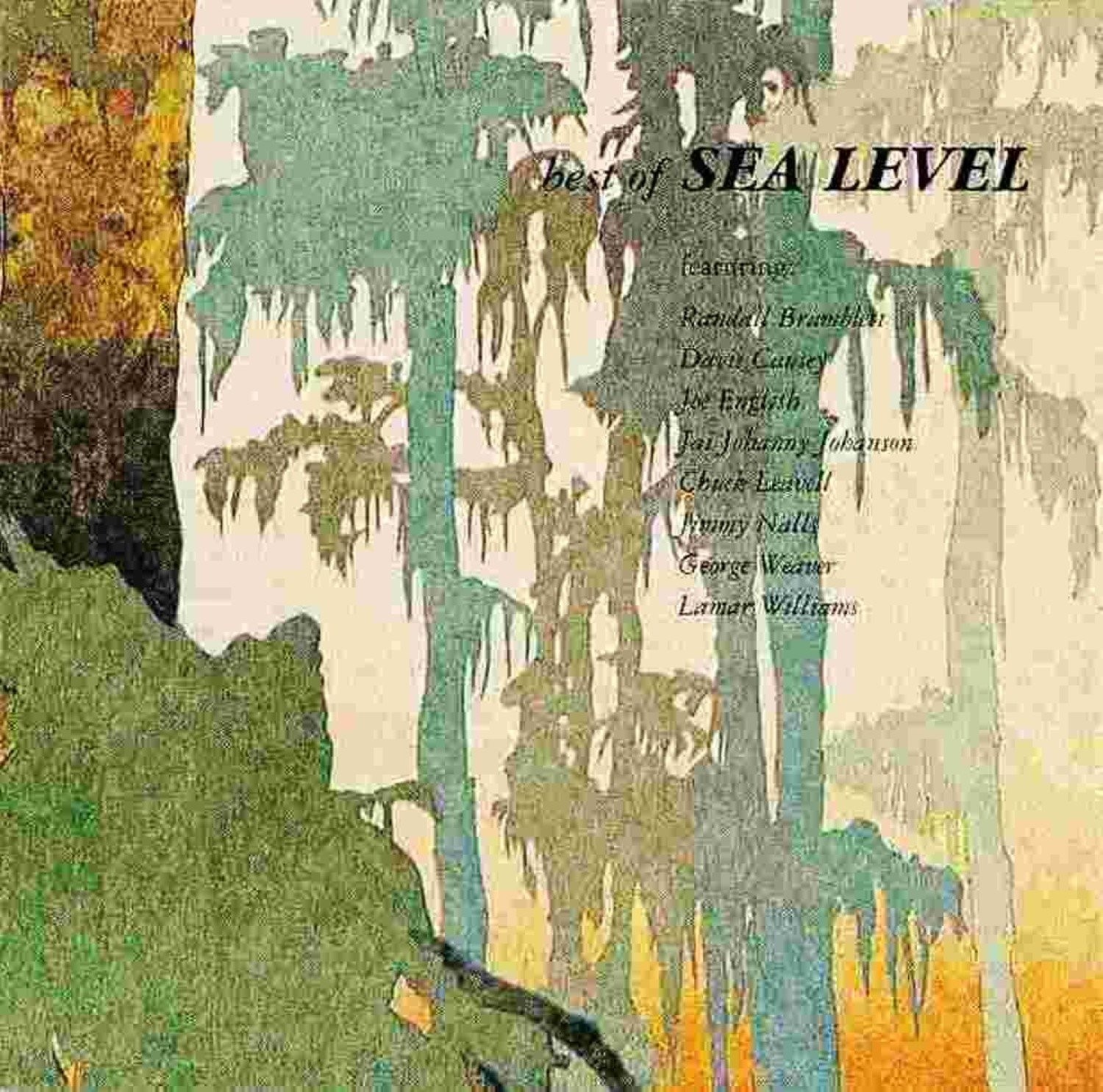 V I M A N A F U S I O N: Sea Level