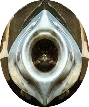 Stone From Jannah ~ Learn Islam, Great Islamic Scholars, Free Bayan