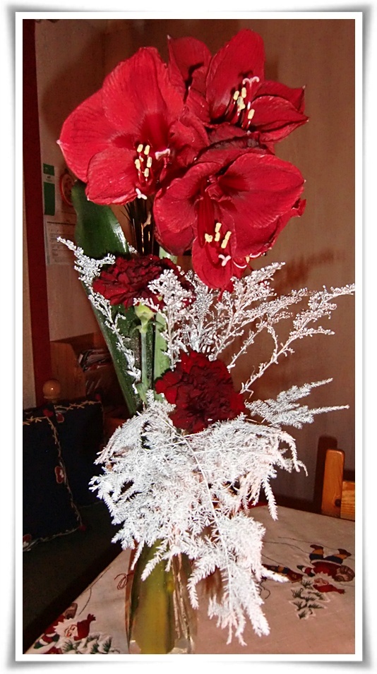 Julens finaste blommor