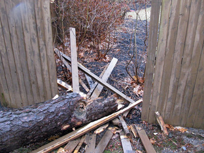 SAV-ON Blog: A Windstorm Causes a Tree to Fall on Your House. Who is ...