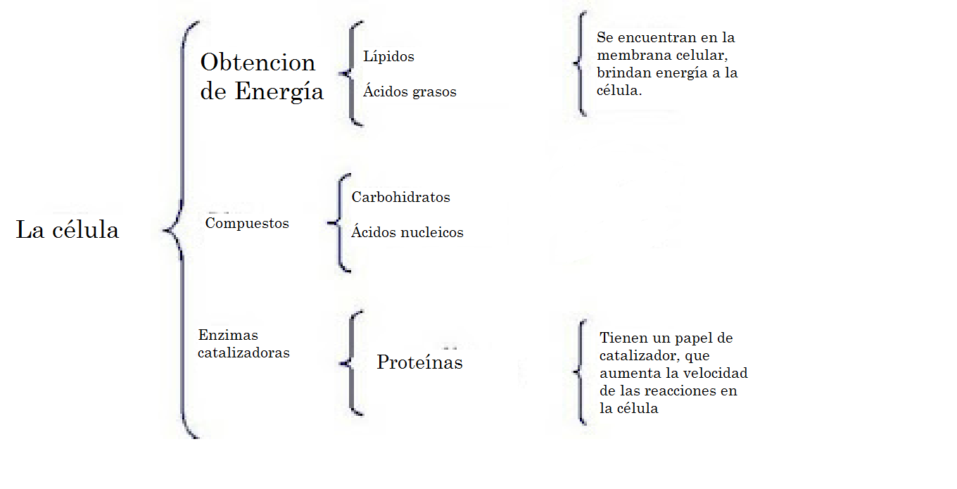 Alejandra Barragán: Tarea 3