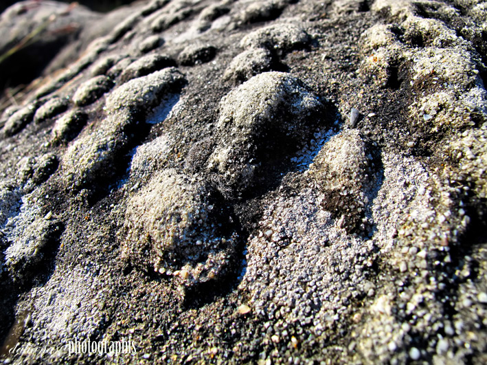 Photographis: Romanian Trovants - Living Stones