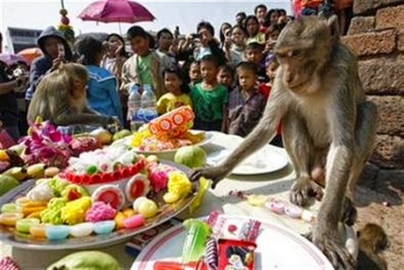 Joy in Thailand: Monkey Party a Lopburi