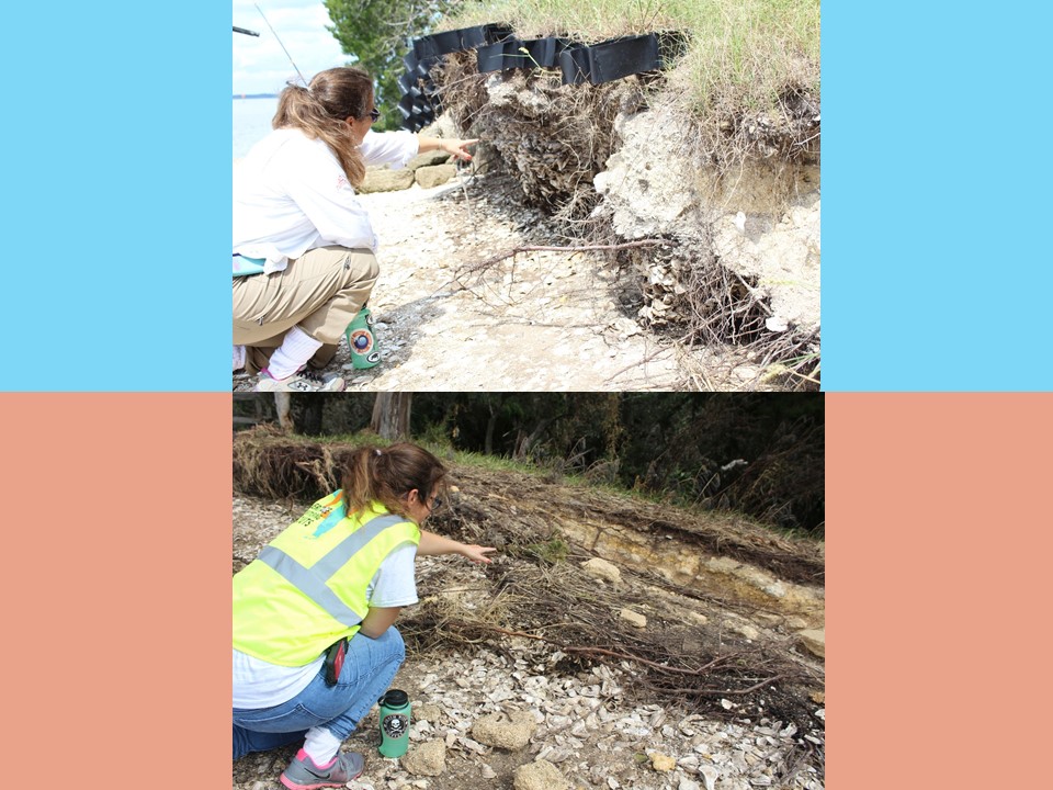 How to be a Heritage Monitoring Scout: Part 1 - Why monitor ...