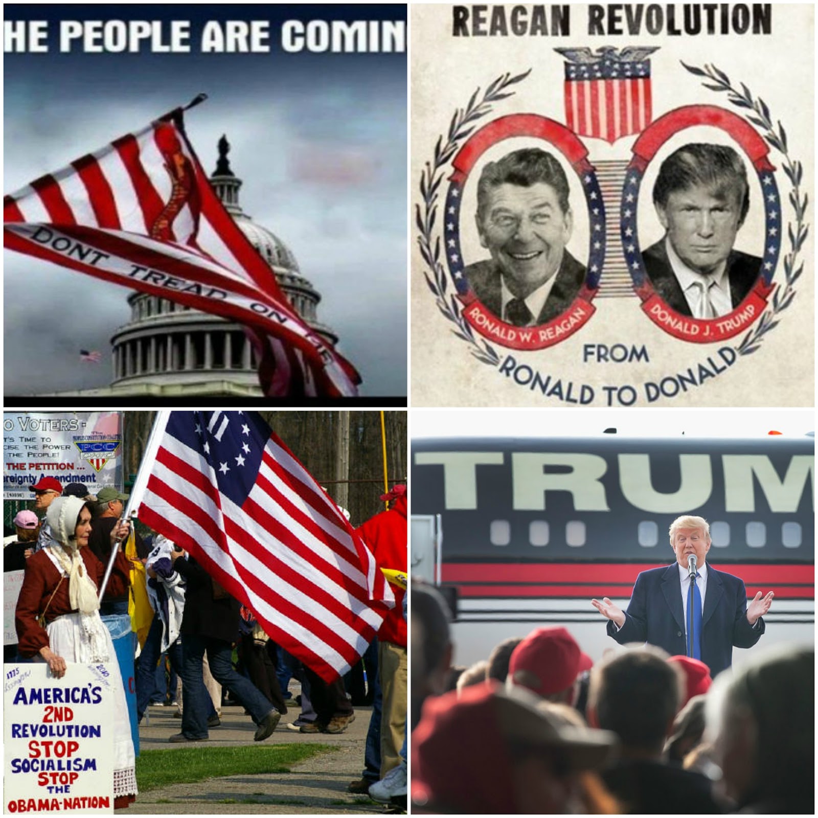 AMERICANS ARE FED UP! THE TRUMP REVOLUTION IS ON! | TRUE DOLLAR JOURNAL